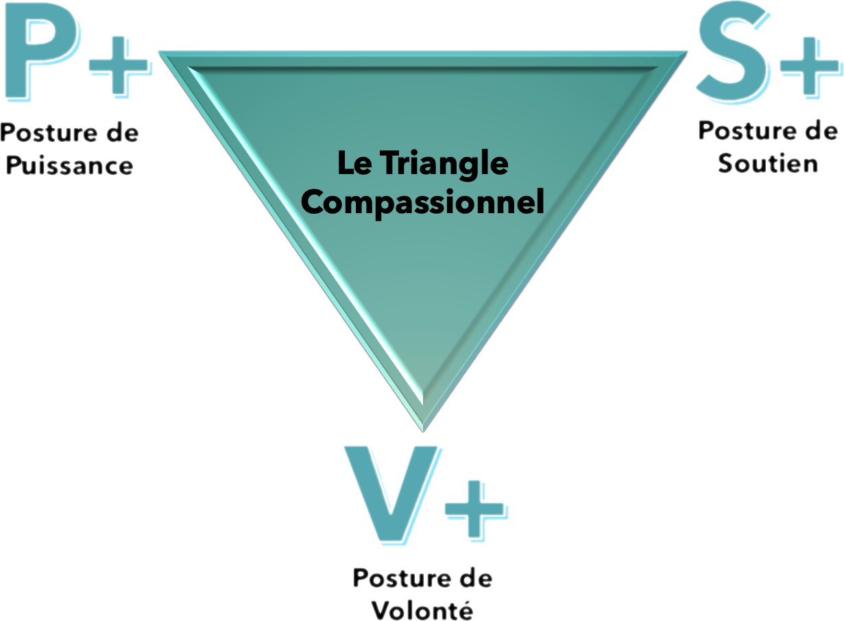 Nos modèles - PULS3R